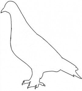 patroon knuffel duif - Hobby.blogo.nl